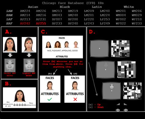 32 Faces From The Chicago Face Directory Cfd Ma Et Al 2015 From Download Scientific