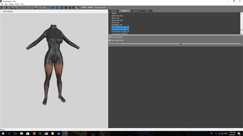 Please Help No Idea How To Add Physics To Cbbe Using Bodyslide Fallout 4 Technical Support
