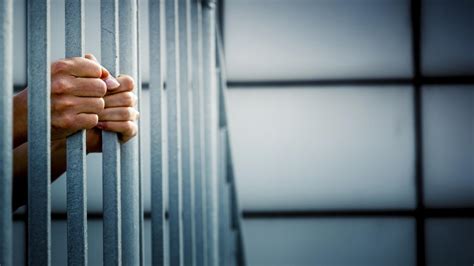 Judge Rejects Predatory Sex Pests ‘cultural Differences Excuse Nt News