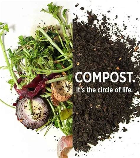 Composting Definition