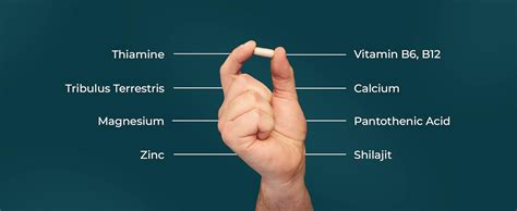 Health And Him Andropause 55 Supplements For Men 60 Capsules Mens