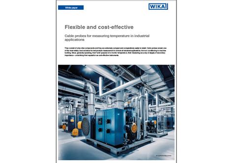 Cable Probe Flexible And Cost Effective Wika