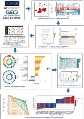 Frontiers Integrated Analysis Of Single Cell And Bulk RNA Sequencing