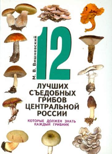 Книга: "12 лучших съедобных грибов Центральной России, которые должен ...