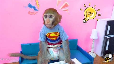 ویدئو کارتونی بازی و سرگرم بچه میمون فیلو