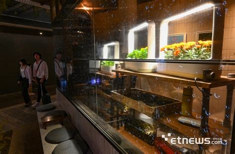 Mz 핫플로 떠오르는 전통시장 전자신문