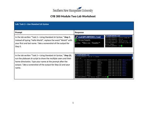 Cyb 300 Module Two Lab Taylor Taake Cyb 300 Module Two Lab Worksheet Lab Task 2—use Standard