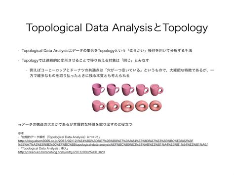 Topological Data Analysisに関して PDF