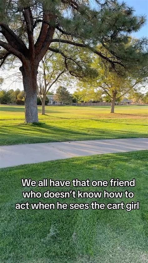 Bee 🐶 Golfwithbee • Instagram Photos And Videos