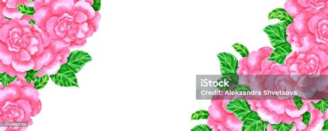 손으로 그린 수채화 분홍색 진달래 배너 테두리가 흰색 배경에 고립되어 있습니다 배너 장식 및 기타 인쇄물에 사용할 수 있습니다 0명에 대한 스톡 벡터 아트 및 기타 이미지