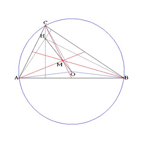 Euler Line Exists Theorem