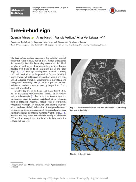 Tree In Bud Sign Request PDF