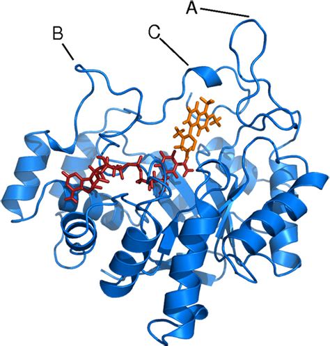 figure 1 from computational biomolecular dynamics group semantic scholar