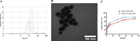 a particle size distribution of chs gnps blue line dox chs gnps