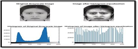 Histogram Equalization Effects Download Scientific Diagram