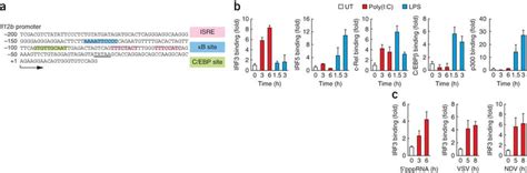 Binding Of Irf3 To The Il12b Promoter After Activation Of Rlrs A Download Scientific Diagram