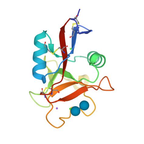 Rcsb Pdb 4kzv Structure Of The Carbohydrate Recognition Domain Of The C Type Lectin Mincle