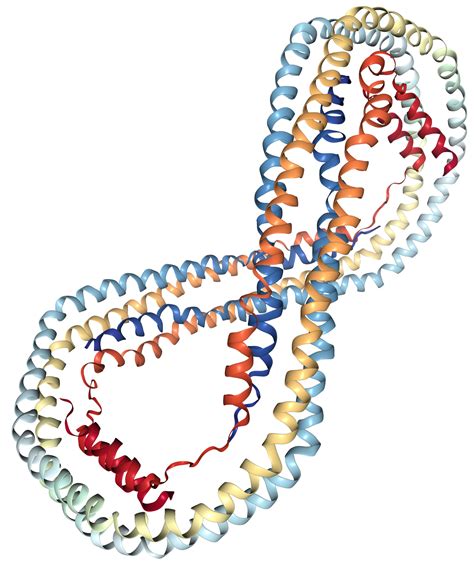 Apolipoprotein A I Apoa1 Protein Overview Sino Biological