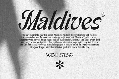 Font Maldives Download And Install On The Web Site
