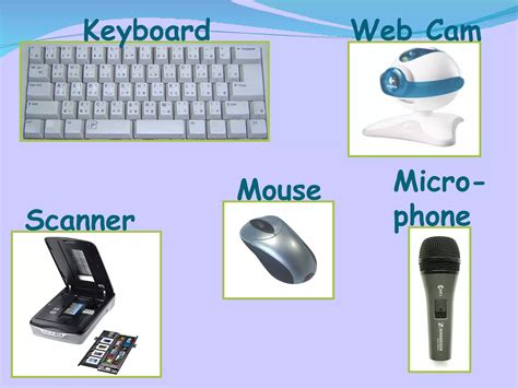 Millers Classification Station Ppt