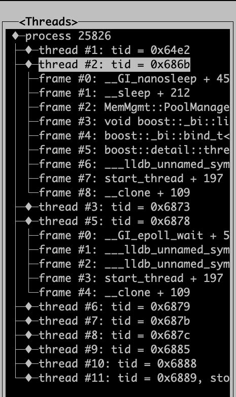 Peeter Joots Blog The Lldb Tui Text User Interface