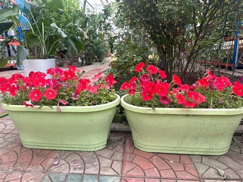 МУИС ийн Экологийн МУИС ийн Экологийн боловсролын төв