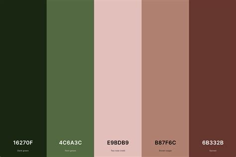 20 Best Terracotta Color Palettes With Names And Hex Codes