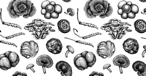 Implicit Vs Explicit Memory Whats The Difference