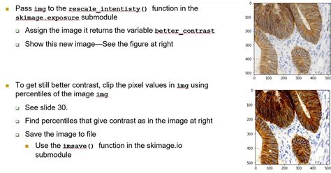 solved assignment 10 7 points do this in a jupyter