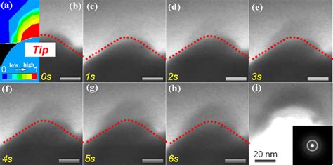 Dynamical Snapshots Of The Deformation Process A The Image Prior To