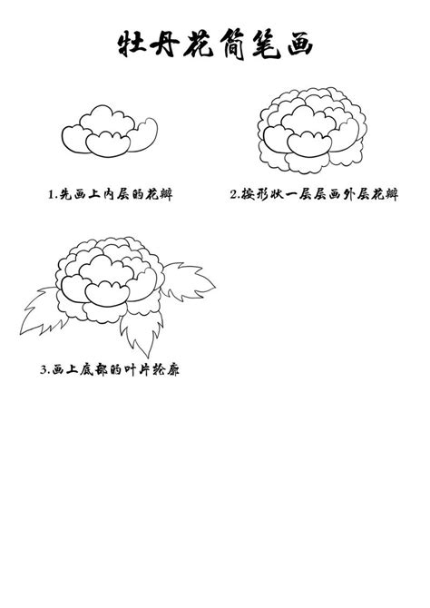 简笔画牡丹花图片大全大图20张 几塔之家