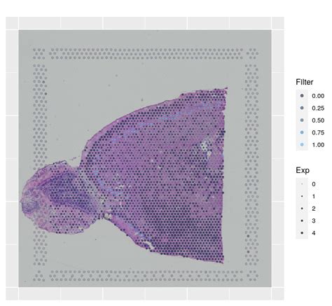 Spatial Transcriptomics