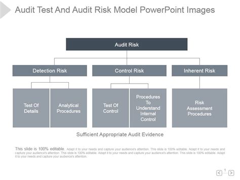 Audit Test And Audit Risk Model Ppt PowerPoint Presentation Template