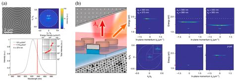 Nanomaterials Free Full Text Field Manipulations In On Chip Micronanoscale Lasers Based On