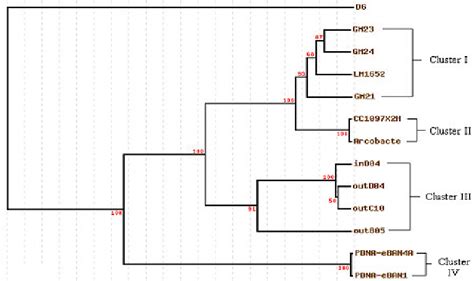 Phylogenetic Tree With Bootstrap Values Tree Constructed Using