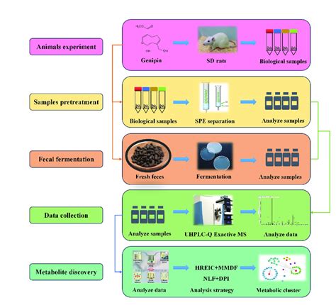 Summary Of The Analytical Strategy And Methodology Download Scientific Diagram