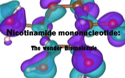 Nicotinamide Mononucleotide Health Vision