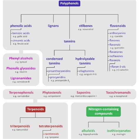Classification Of Phytochemicals The Figure Includes Only The Download Scientific Diagram