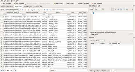 Local Backup And Sql Querying Of Annotation Data — Histomicstk Documentation