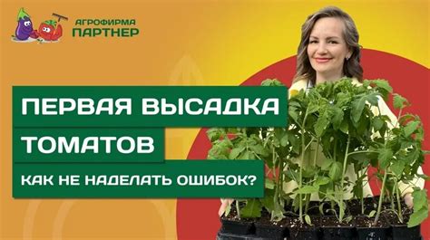 КАК Правильно Высаживать Томаты В Теплице Профилактика фитофторы — Видео от Агрофирма Партнер