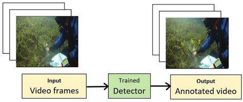 using the trained detector download scientific diagram