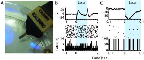 A Photograph Of Experimental Setup With 32 Microwire Array In The