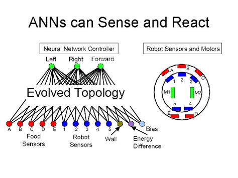 Cap 6938 Neuroevolution And Developmental Encoding Overview Of