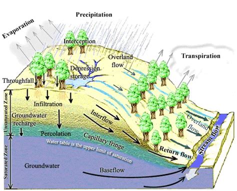 Groundwater Runoff Ground Water And The Rural Homeowner