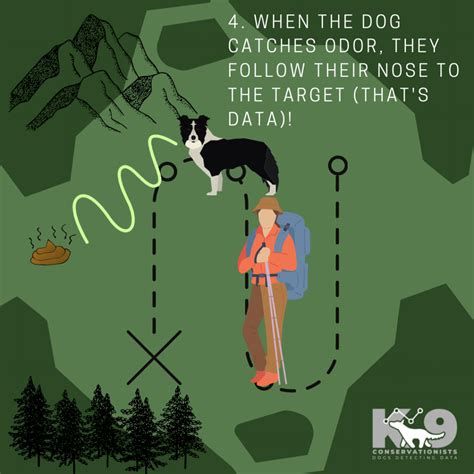 A Day In The Life Of A Conservation Detection Dog Handler K9