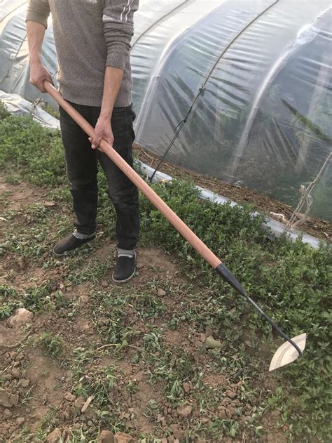 除草铲 除草铲子 大山谷图库