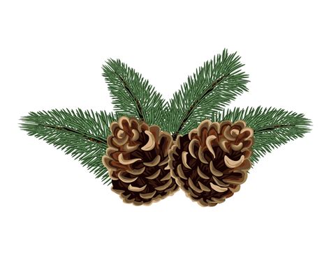 Pine Cone Vector Art Icons And Graphics For Free Download