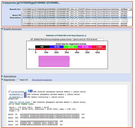 figure 1 the new web blast output for a multiple sequence blastx search showing the pull down