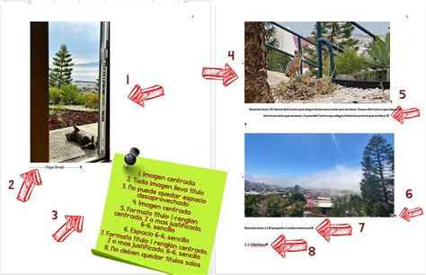 Los Errores Más Comunes