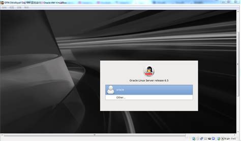 快速搭建linux操作系统和oracle数据库 oracle数据库如何搭到linux中 普通网友的博客 csdn博客